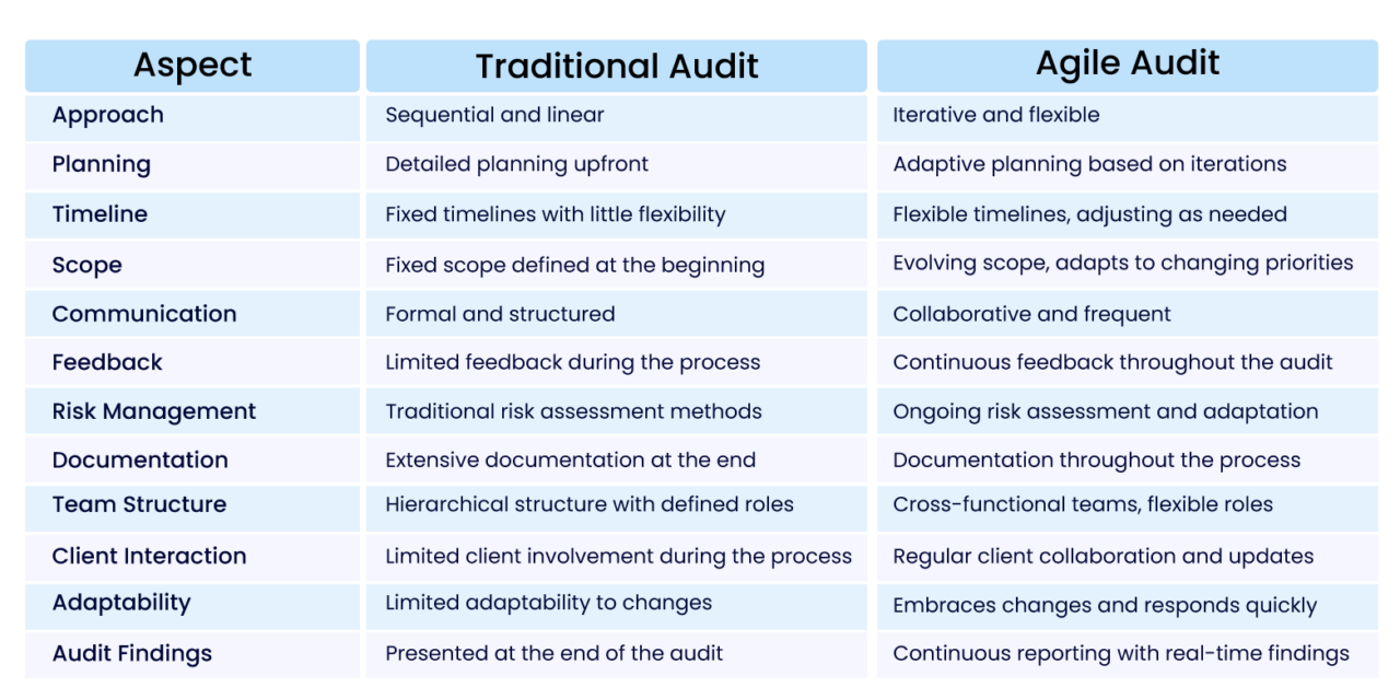 What is Agile Auditing?